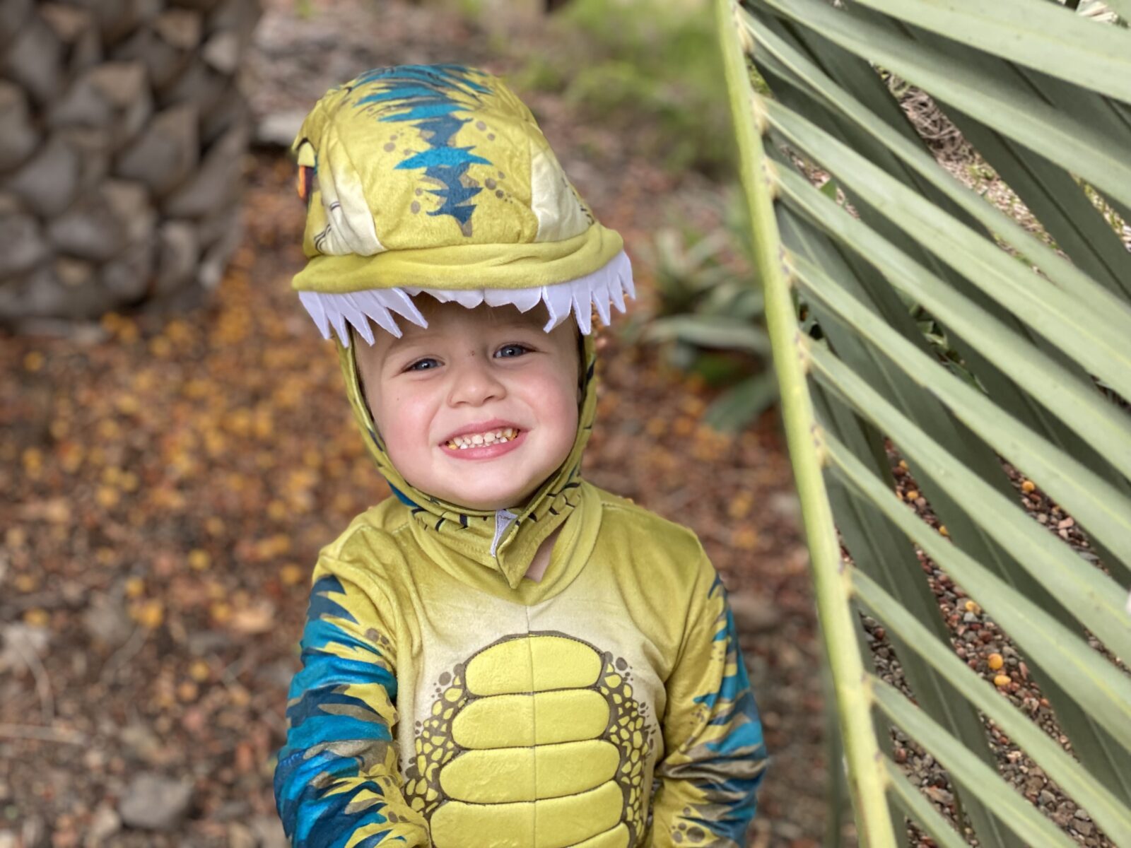 Courage Unleashed: 5 Tips to Inspire Brave Children this Halloween ...